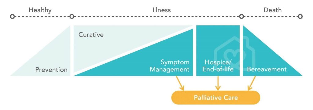 Palliative Care: Navigating End-of-Life Health Choices - reichmesa water